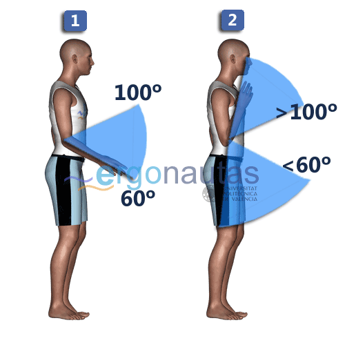 Rula Software Ergonomics Software For Worksites